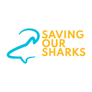 Saving Our Sharks – Saving Our Sharks